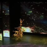 Famous Chinese Acrobatics Show with Private Transportation - What Makes This Experience Stand Out?