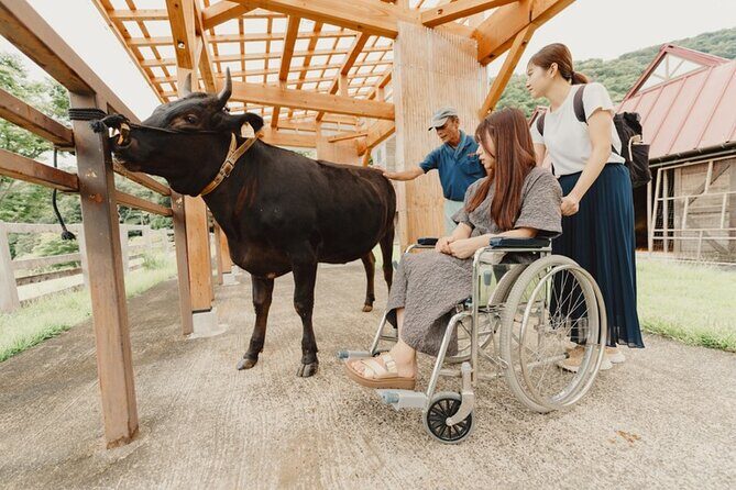 Farm Park Food Education Experience with Tajima Beef - Why This Experience Stands Out