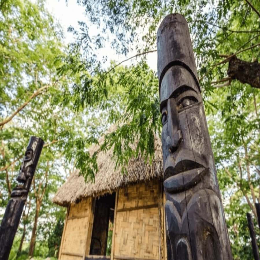 Fiji: Cultural Village Evening Tour with Dinner and Show - Who Will Love This Tour?