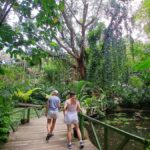 FIJI: Garden of the Sleeping Giant Tour - A Complete Look at the Garden of the Sleeping Giant Tour