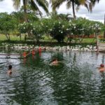 FIJI Official Tifajek MudPool & Hotspring Entry Fee Tickets Only - Who Is This Experience Best For?