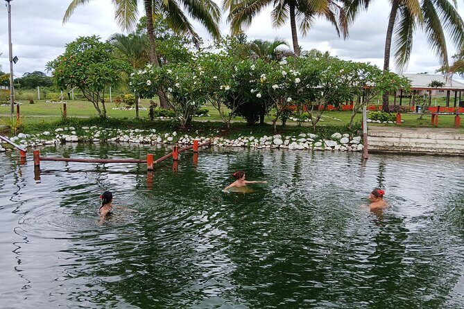 FIJI Official Tifajek MudPool & Hotspring Entry Fee Tickets Only - Who Is This Experience Best For?