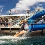 Fly in and Fly out Great Barrier Reef Cairns Day Tour - Practical Tips for Future Travelers