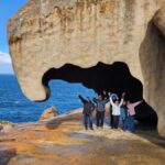 From Adelaide: Premium 2-Day Kangaroo Island Minibus Tour - What Makes This Tour Stand Out?