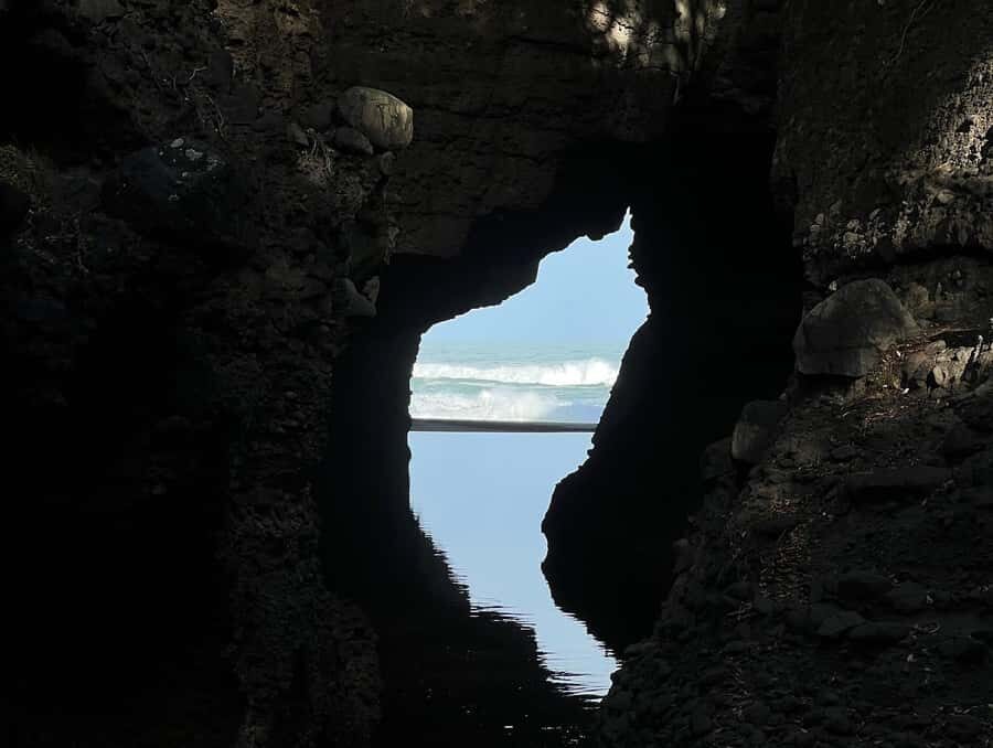 From Auckland: Guided Tour of Piha with Scenic Beach Walks - Transport, Timing, and Group Size