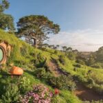 From Auckland: Hobbiton Movie Set Day Tour with Picnic Lunch - The Hobbiton Movie Set Tour