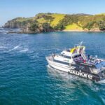 From Auckland: Hole in the rock cruise tour - What We Love About This Tour