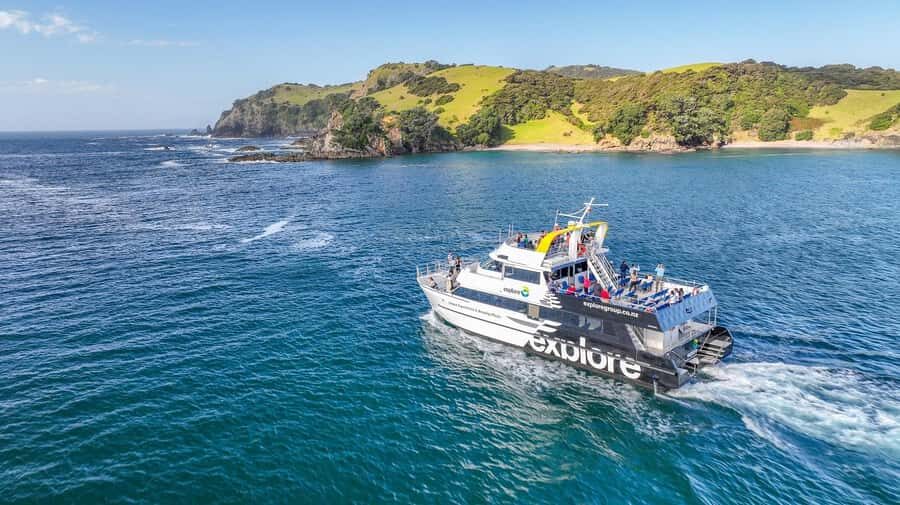 From Auckland: Hole in the rock cruise tour - What We Love About This Tour