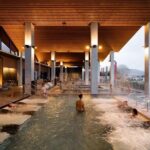 From Auckland : Te Puia & Wai Ariki Hot Springs Rotorua Day Tour - Who Should Consider This Tour?