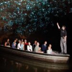From Auckland: Waitomo Caves and Kiwi House Group Tour - Reflecting on the Value
