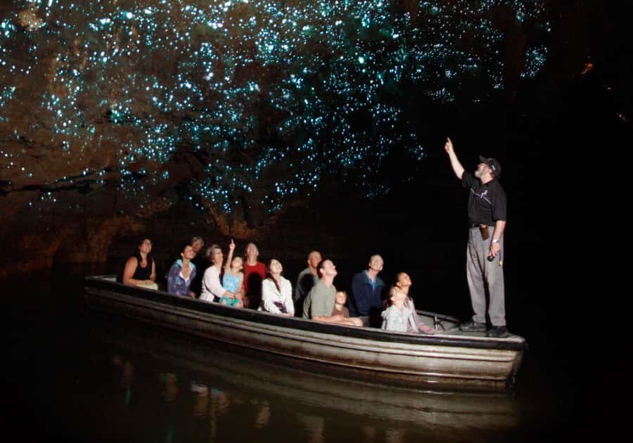 From Auckland: Waitomo Caves and Kiwi House Group Tour - Reflecting on the Value