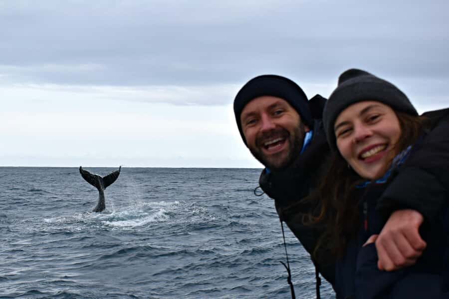From Augusta: Whale Watching Award Winning Tour - The Vessel: Comfort, Safety, and a Great View