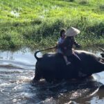 From AUTHENTIC FARMER'S LIFE to ECO RIVER FISHING EXPERIENCE - Transportation and Group Size