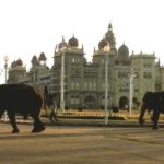 From Bangalore : Mysore Sightseeing full day tour - What Makes This Tour Stand Out