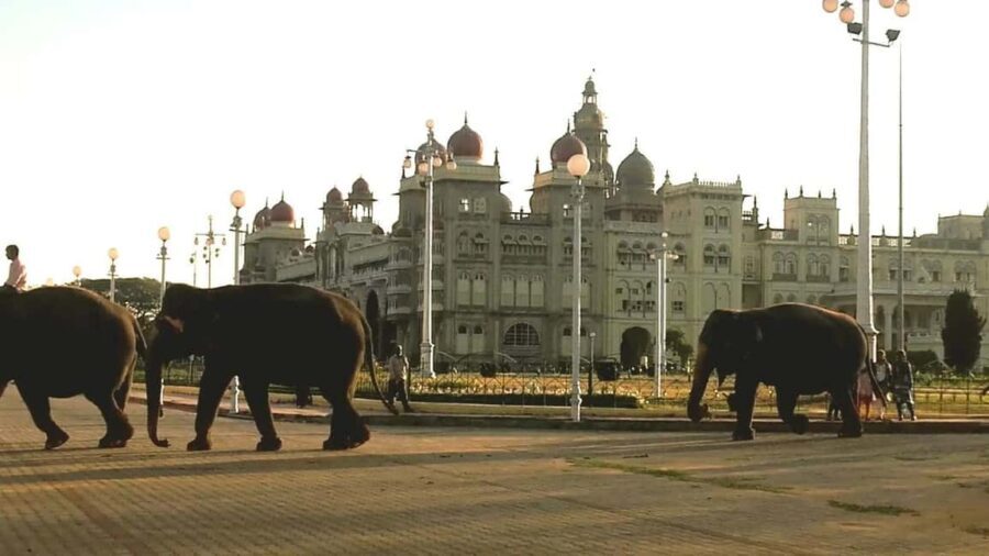 From Bangalore : Mysore Sightseeing full day tour - What Makes This Tour Stand Out