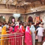 From Bikaner: Rat Temple Tour with Drop-off at Jodhpur - Who Will Love This Tour?
