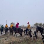 From Bishkek Horse Riding in Arashan Mountains - Practical Details and Value