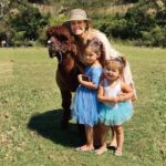 From Brisbane: Lamington National Park Rainforest Tour - The Significance of the Highlights