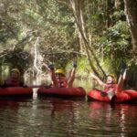 From Cairns and Northern Beaches: Rainforest River Tubing - The Itinerary and Experience Breakdown