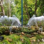 From Chennai: Private Pondicherry & Auroville Day Tour - An In-Depth Look at the Tour