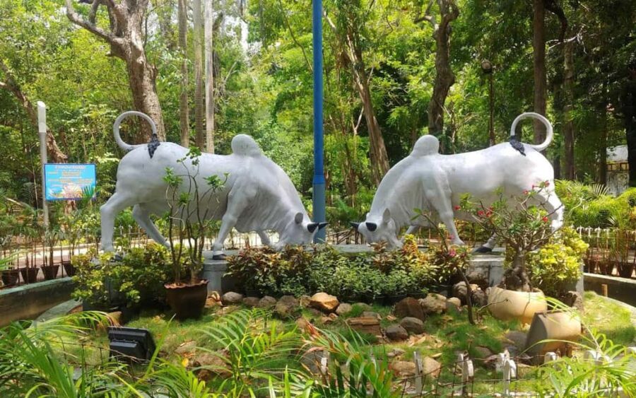 From Chennai: Private Pondicherry & Auroville Day Tour - An In-Depth Look at the Tour