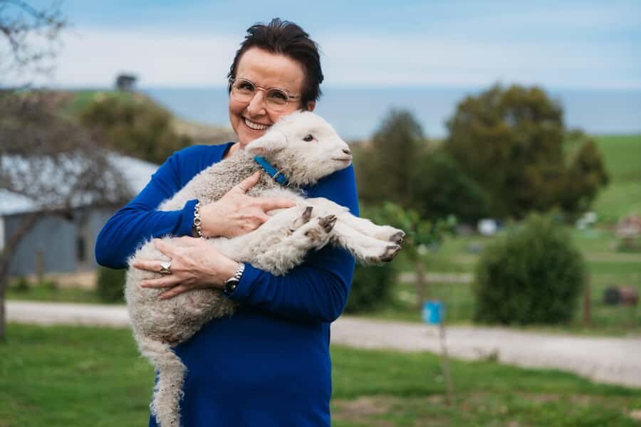 From Christchurch: Sheep Farm Experience with Lunch & Winery - What Makes This Tour Special