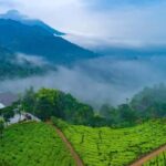 From Cochin: 5-Day Kerala Munnar, Thekkady, & Alleppey Tour - Final Thoughts