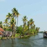 From Cochin : Alleppey Houseboat day cruise - Round trip - Why This Tour Works for Travelers