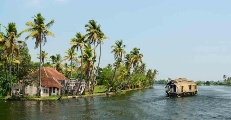 From Cochin : Alleppey Houseboat day cruise - Round trip - Why This Tour Works for Travelers