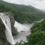 From Cochin: Athirappilly Waterfall Excursion with Lunch - The Practicalities