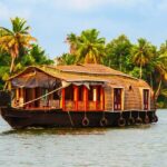 From Cochin: Day Tour of Alleppey House Boat - What the Experience Feels Like