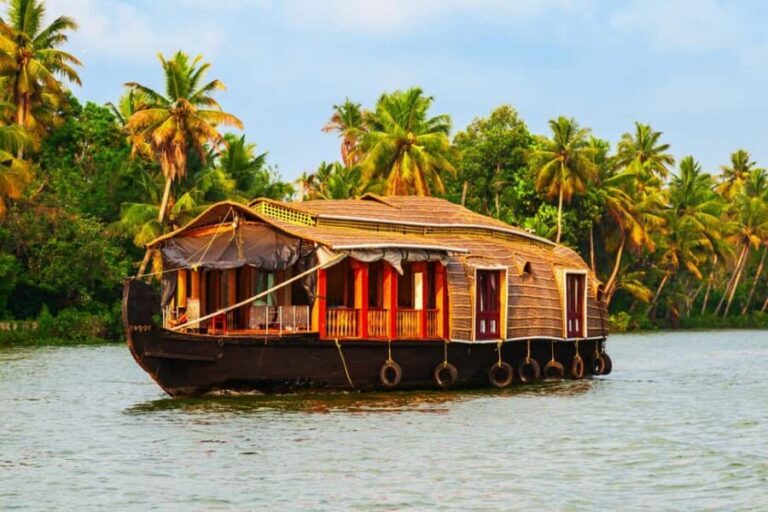 From Cochin: Day Tour of Alleppey House Boat - What the Experience Feels Like
