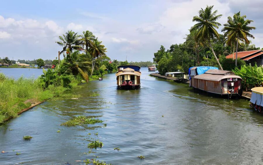 From Cochin: Day Tour of Alleppey houseboat with Lunch - Authenticity and Value
