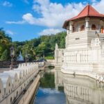 From Colombo: Kandy Temple of Tooth & Elephant Orphanage - Authentic Experiences & Highlights