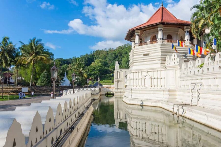 From Colombo: Kandy Temple of Tooth & Elephant Orphanage - Authentic Experiences & Highlights