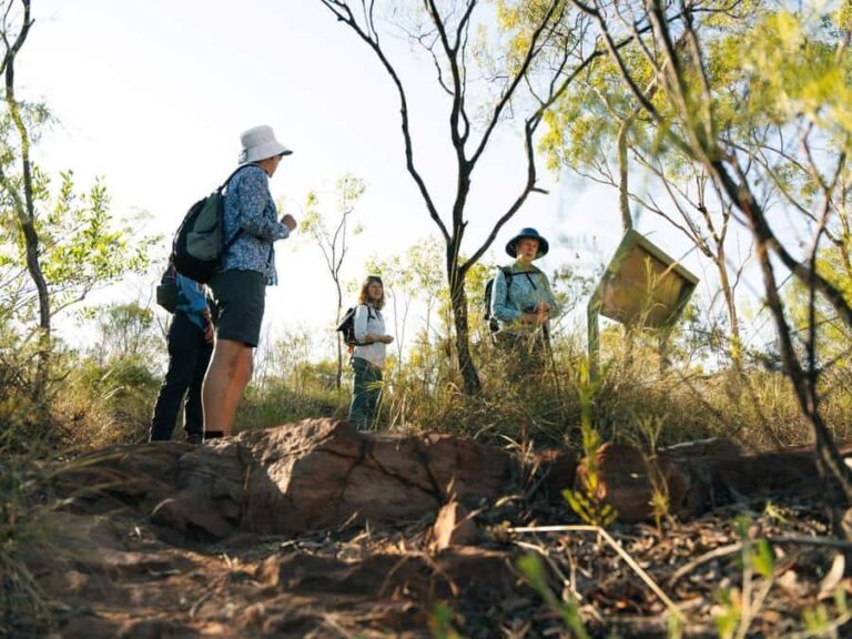 From Darwin: 4-Day Kakadu, Katherine & Litchfield Explorer - What We’ve Heard From Past Travelers
