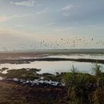 From Darwin: Kakadu 2-Day Tour - The Value of This Tour: Is It Worth It?