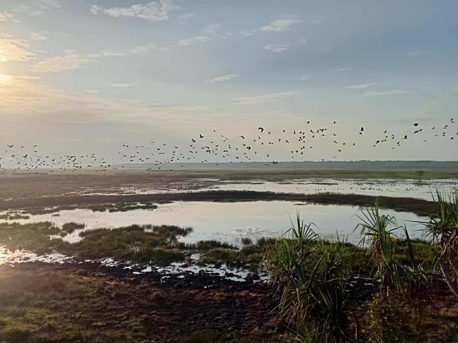 From Darwin: Kakadu 2-Day Tour - The Value of This Tour: Is It Worth It?