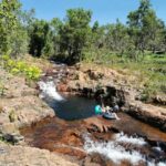 From Darwin: Litchfield National Park Small-Group Day Trip - The Educational Element
