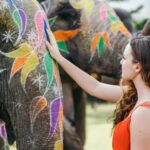 From Delhi: 2-Day Golden Triangle Express Tour Agra & Jaipur - The Sum Up: Is This Tour Worth It?