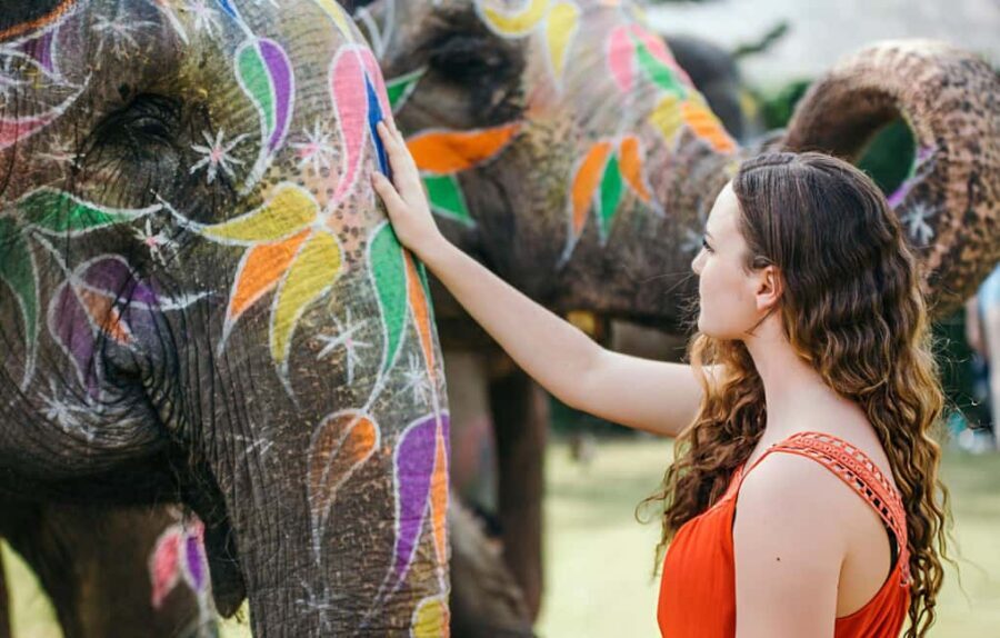 From Delhi: 2-Day Golden Triangle Express Tour Agra & Jaipur - The Sum Up: Is This Tour Worth It?