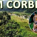 From Delhi: 3-Day Wildlife Trip to Jim Corbett National Park - Daily Itinerary Breakdown