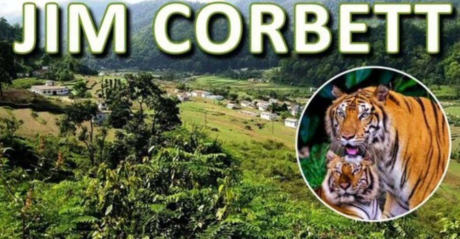 From Delhi: 3-Day Wildlife Trip to Jim Corbett National Park - Daily Itinerary Breakdown