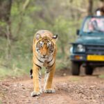From Delhi: 4-Day Golden Triangle Tour with Tiger Safari - Exploring the Itinerary in Detail