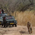 From Delhi: 4-Day Private Golden Triangle with Ranthambore - What’s Included and What to Expect