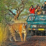 From Delhi: 5-Day Golden Triangle & Ranthambore Guided Tour - Day 2: Agra to Ranthambore via Fatehpur Sikri