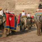 From Delhi: 5 Days Golden Triangle (Delhi Agra Jaipur) Tour - What’s the Experience Really Like?