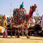 From Delhi: Ajmer and Pushkar 2-Day Tour with Car and Guide - Why This Tour Delivers Value