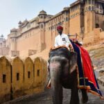 From Delhi: Jaipur The Pink City Private Day Trip By Car. - Practical Details and Tips
