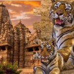 From Delhi: Khajuraho Kamasutra Temples & Panna Safari Tour - In-Depth Look at the Highlights